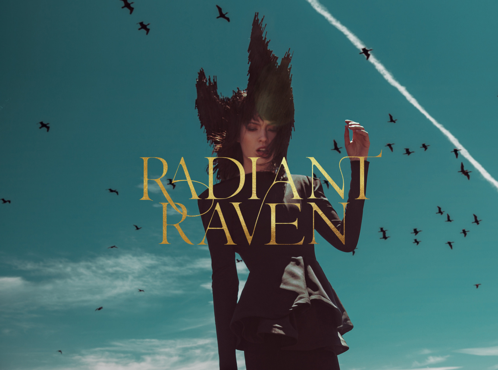 Radiant Raven by Studio Linear on Dribbble