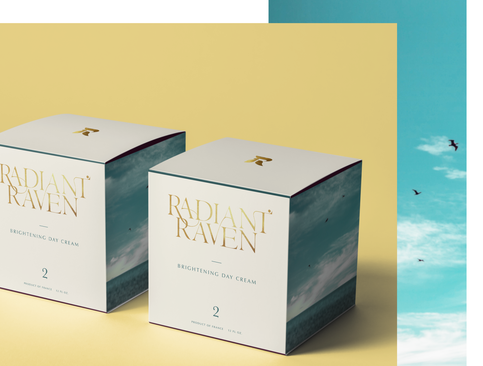 Radiant Raven by Studio Linear on Dribbble