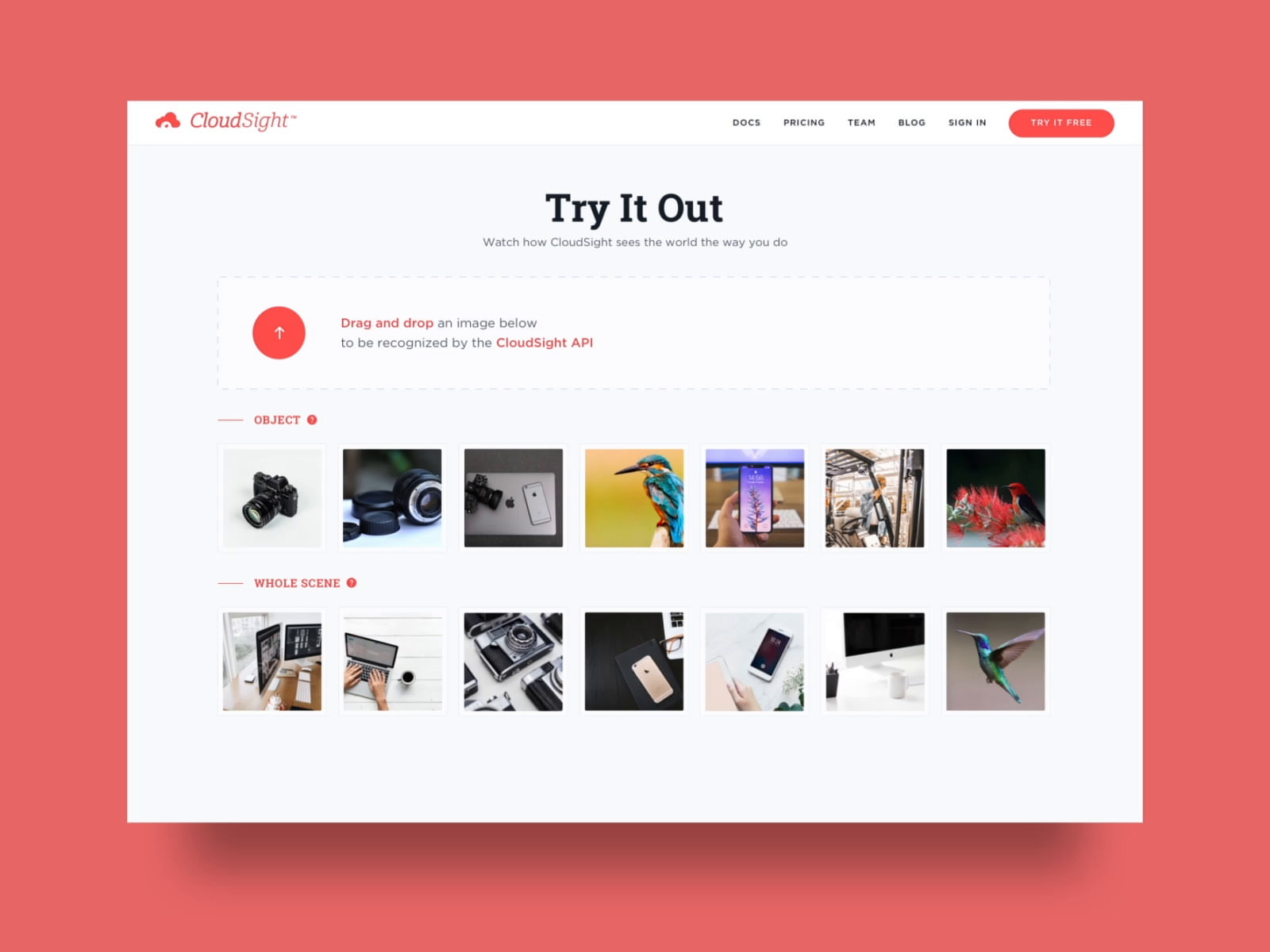 Image recognition technology by Andrew on Dribbble