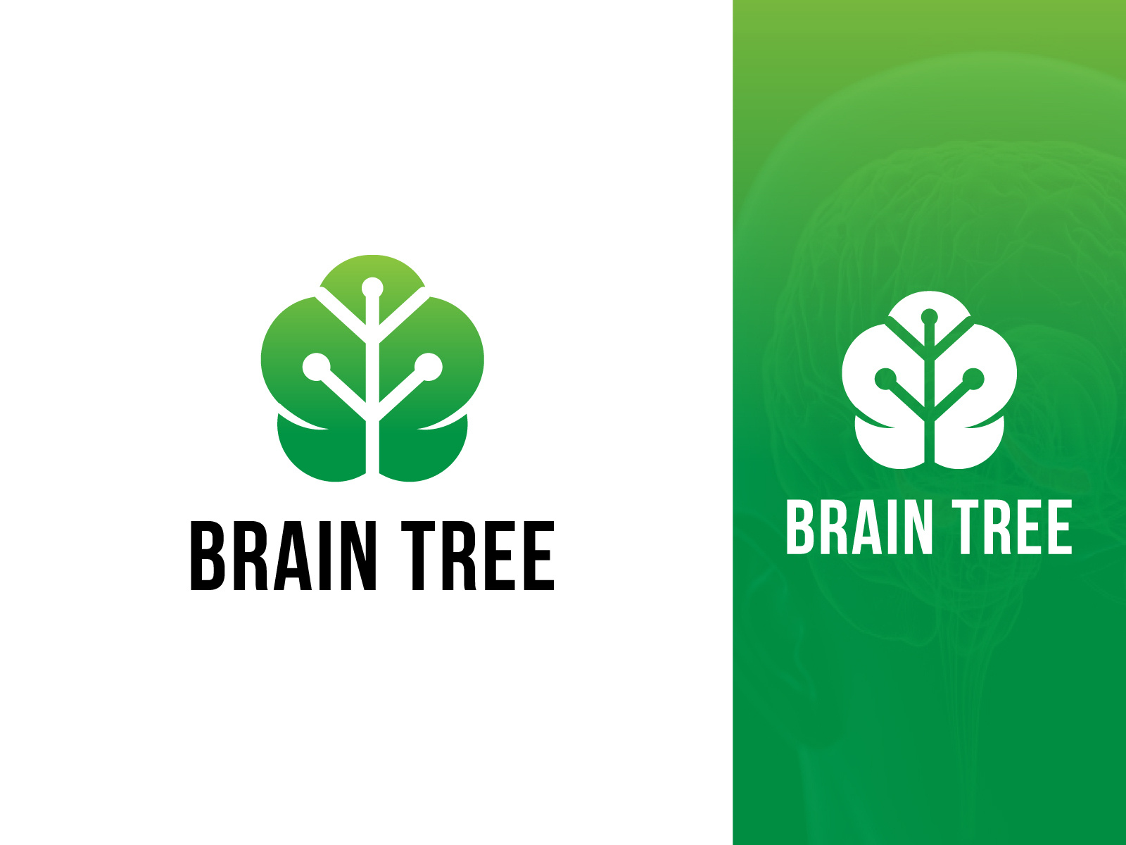 Brain Tree Logo design by Jishan - Branding Agency on Dribbble
