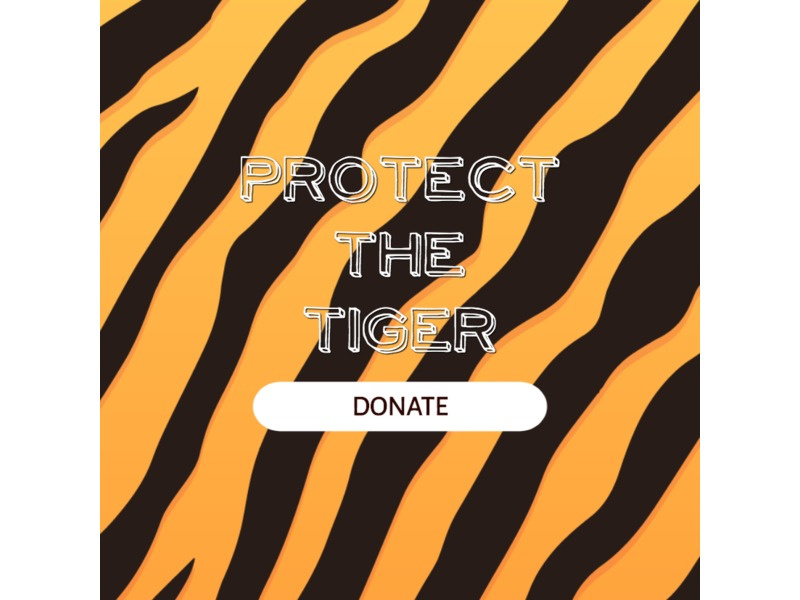 Tiger Editable Template by EDIT on Dribbble