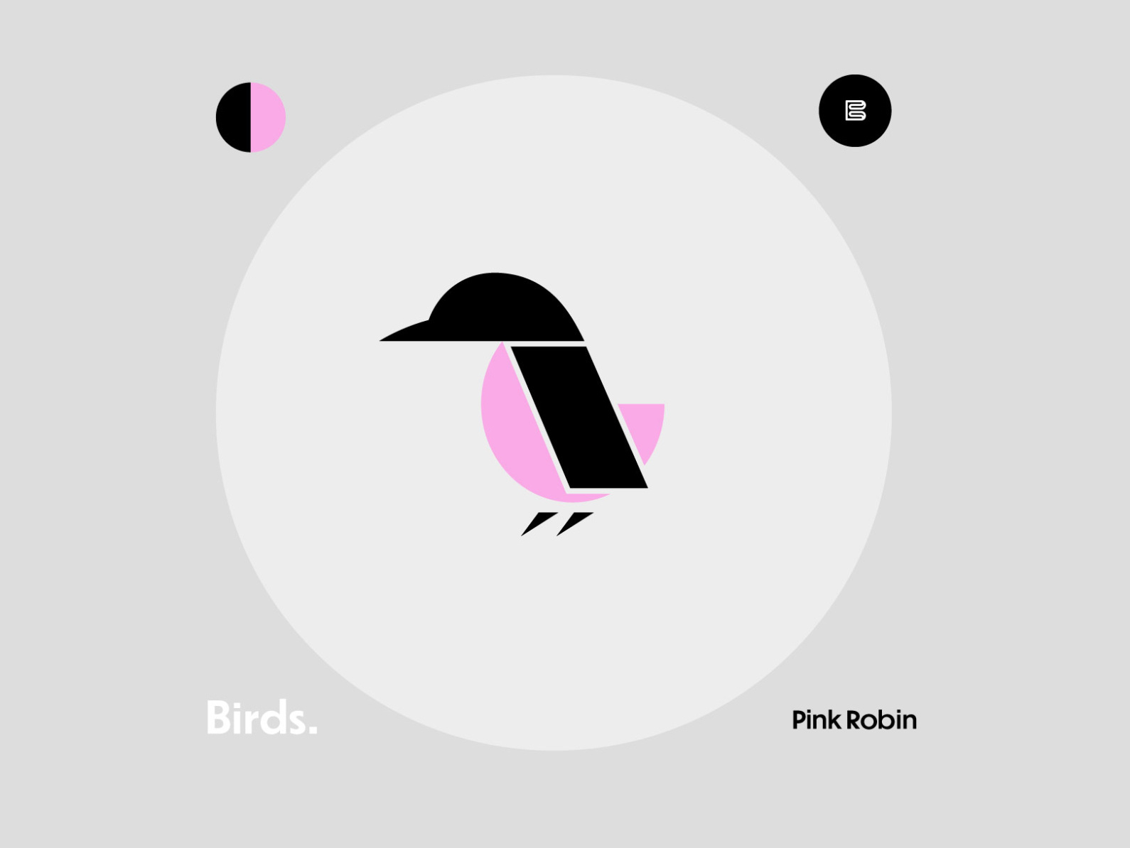 Birds ( 3 of 9 ) - Pink Robin by Brandon Joseph on Dribbble