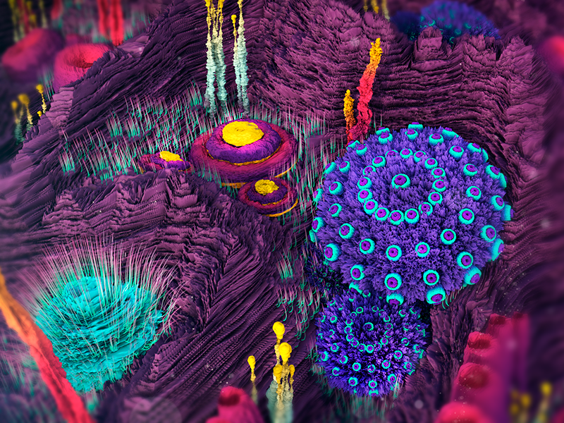 Playing with texture displacement / Organic landscape by Anton Moek on ...