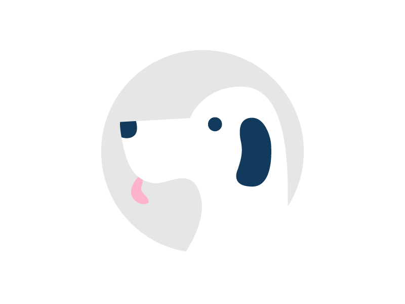 Fetch by Kathryn Gonzalez on Dribbble