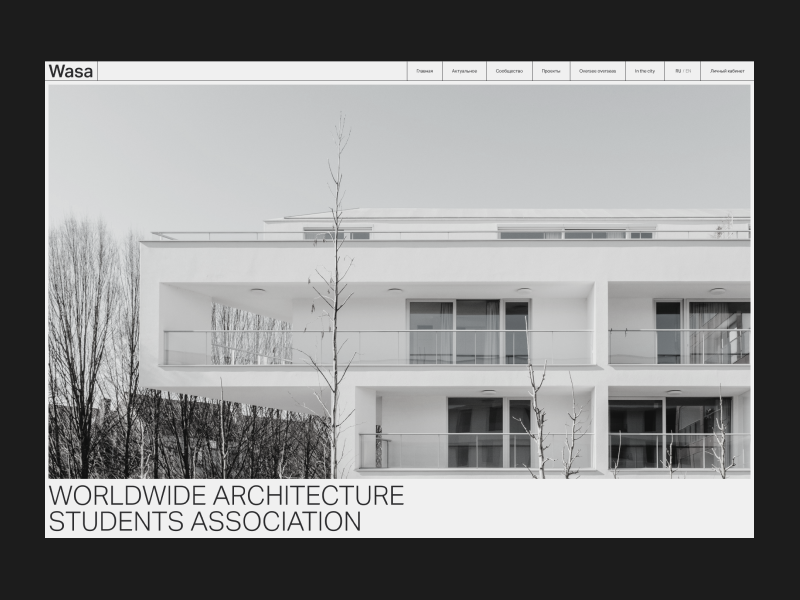 WASA (Concept) by Nikita Pitertsev on Dribbble