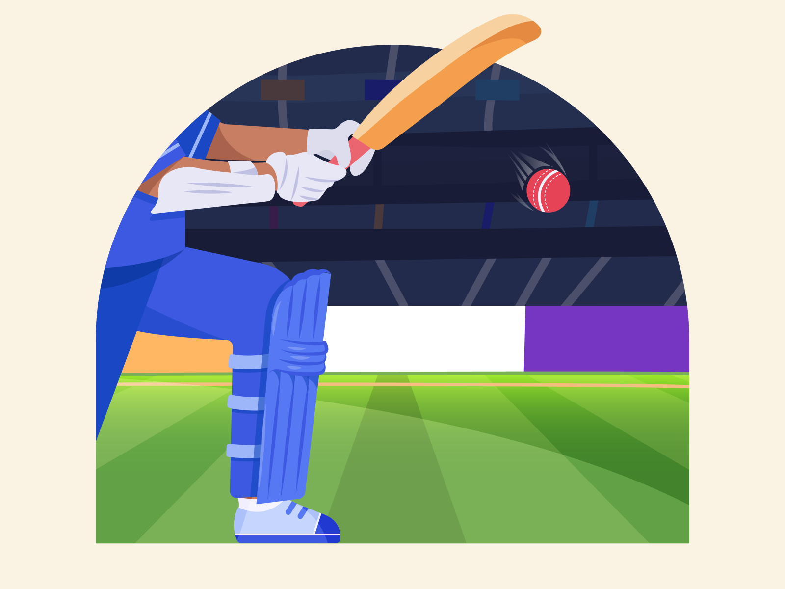 Cricket - Transaction Background by Deepti Choudhary on Dribbble