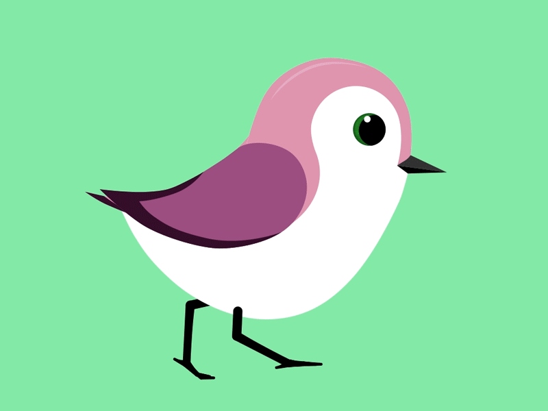 Bird Run Dribbble by Martine de Jonge on Dribbble