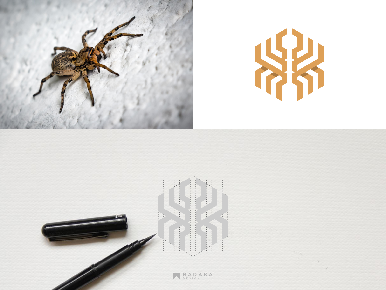 geometric spider logo by storidco design on Dribbble