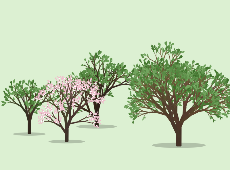 Generative Fractal Tree Art Javascript With P5js By Nathan Hart On Dribbble