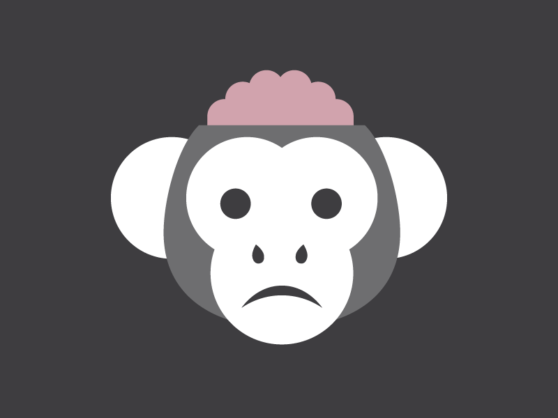 Chilled Monkey Brain by Benjy Stanton on Dribbble