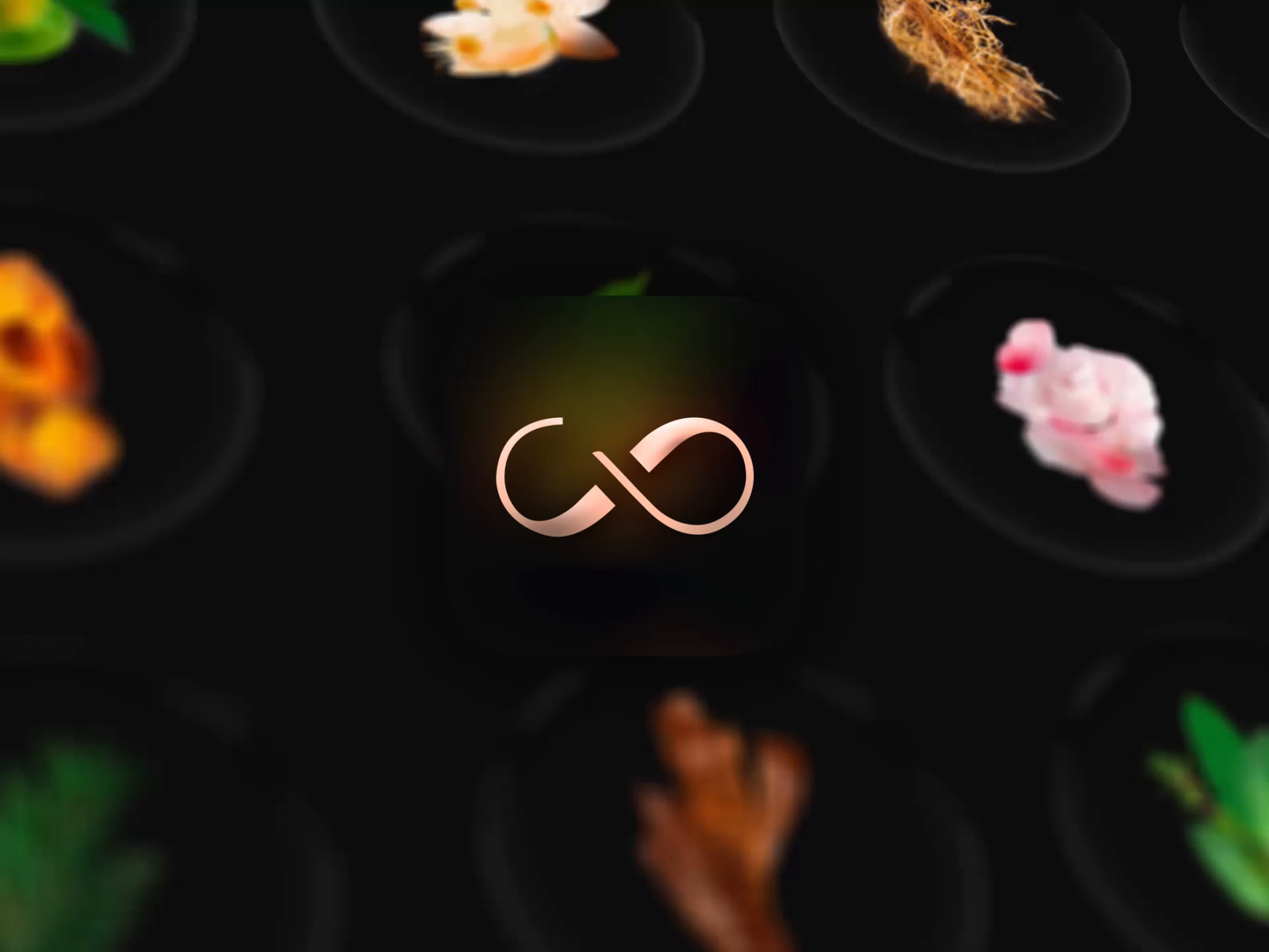 Compoz App icon 1/4 🌹 by Guillaume for BeTomorrow on Dribbble