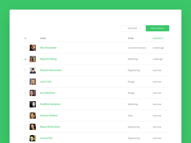 Segment team profiles, team member table by Kiran Matthews on Dribbble