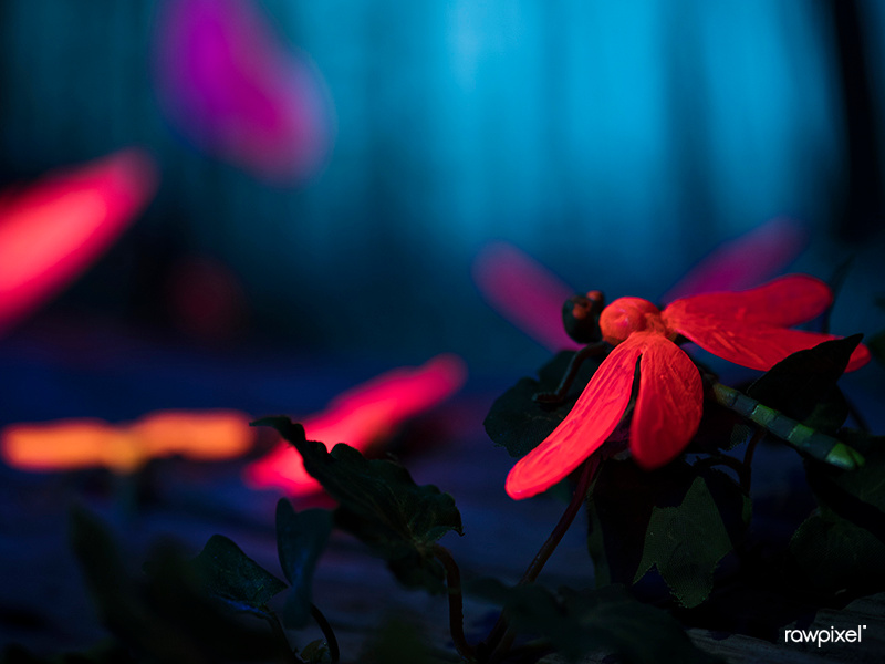 Glowing insects in the night forest by Sasicha S. for rawpixel on Dribbble