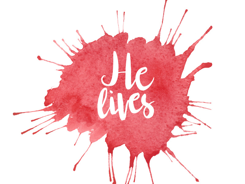 He lives! by SYNC on Dribbble