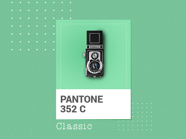 Pantone 352 C by Gfxes on Dribbble Pantone 352 C by Gfxes on Dribbble