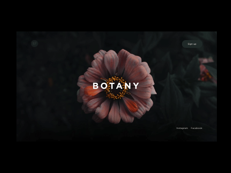 Botanical Garden by Isabel Rosher on Dribbble