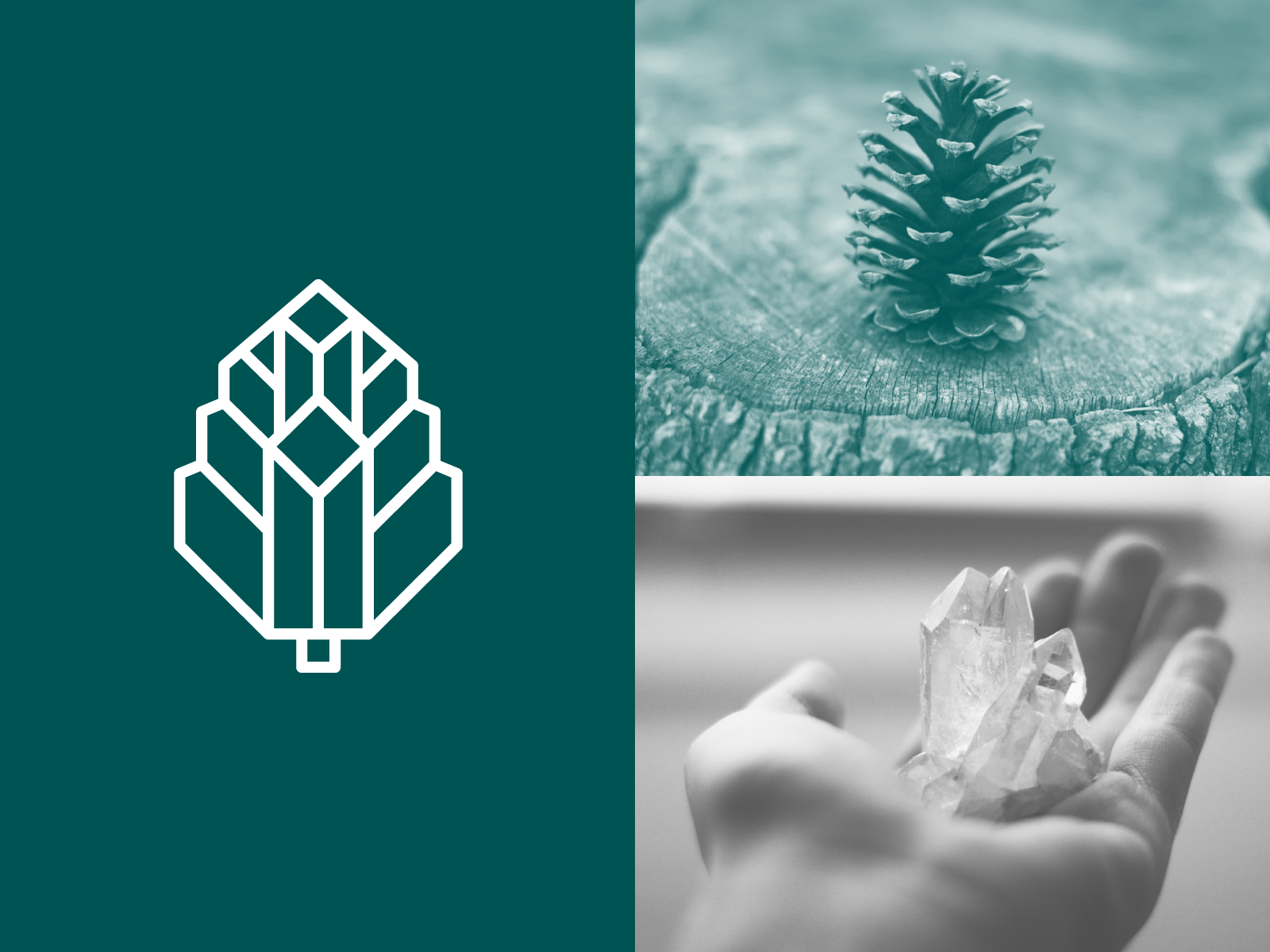 Personal Mark Inspiration by Felipe Rocha on Dribbble