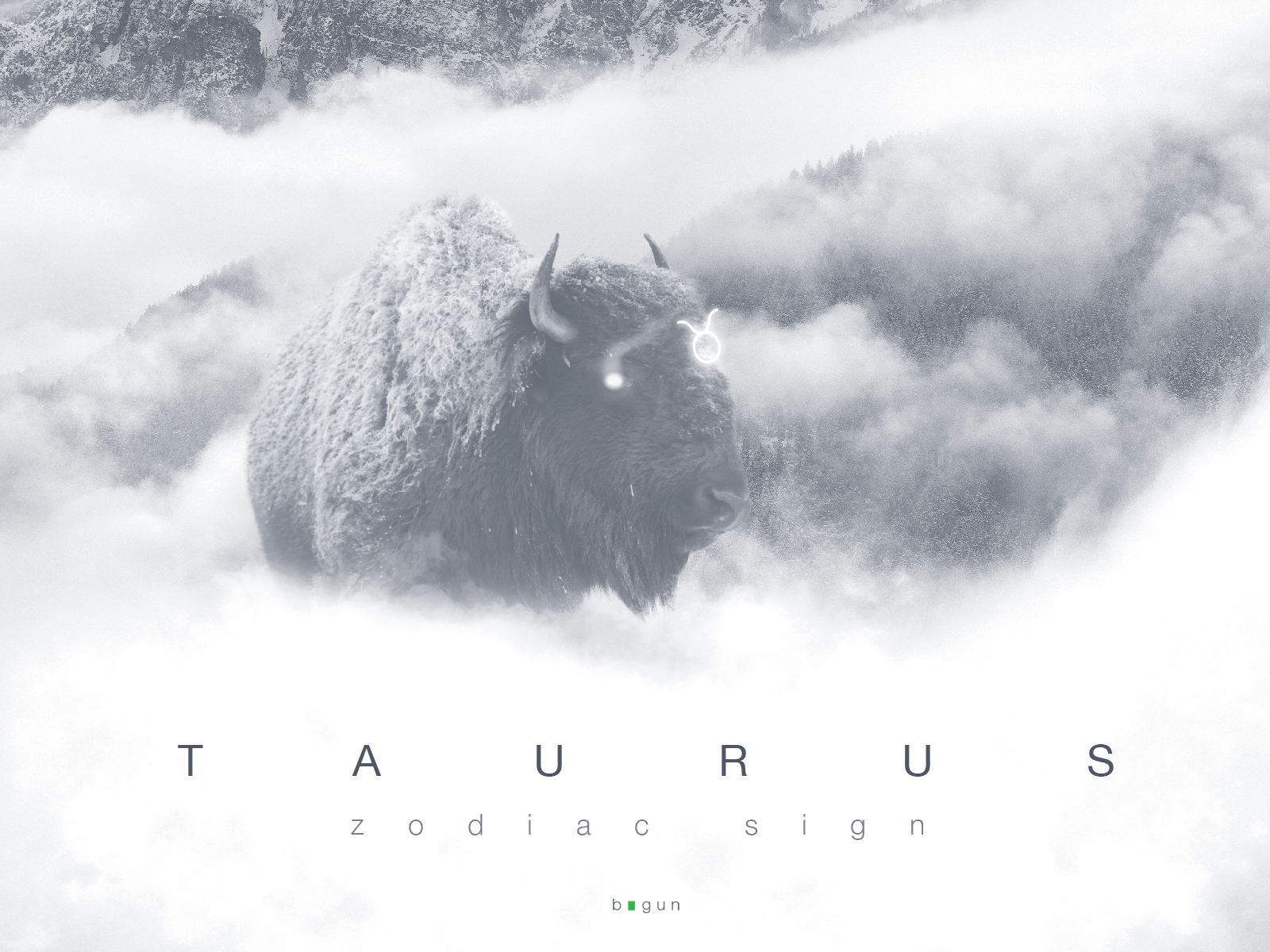 TAURUS by bigun on Dribbble
