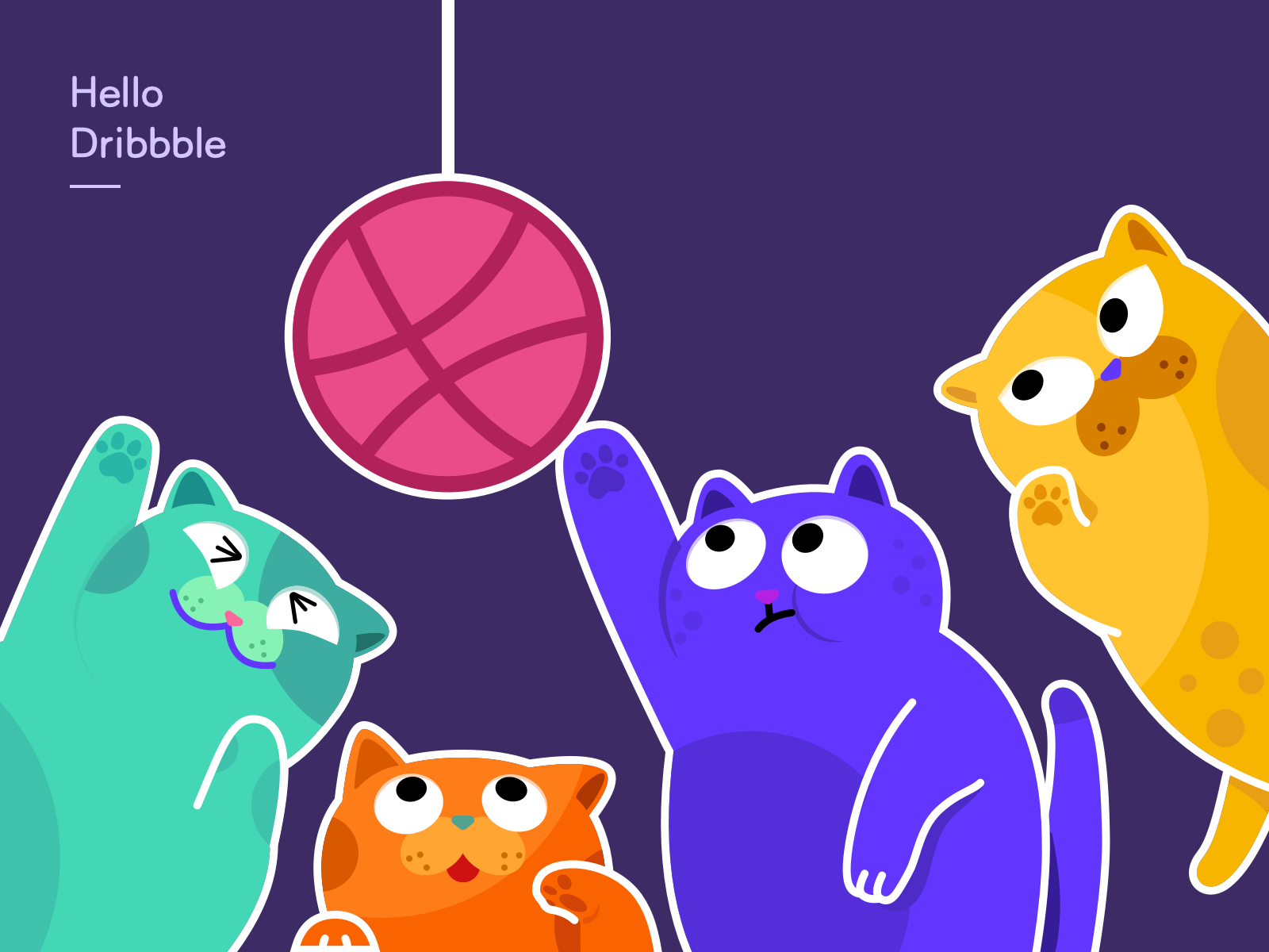 cat cat cat by Donna wang on Dribbble