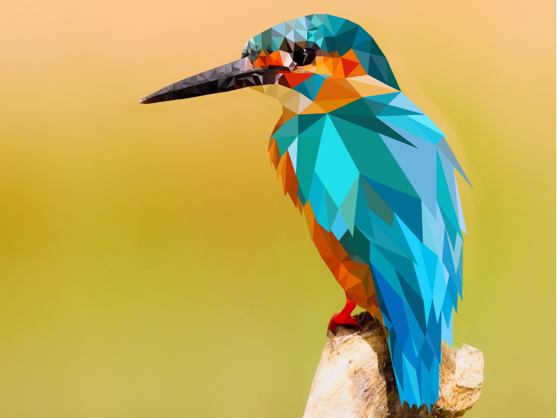 Poly Bird by Nicolene Genis on Dribbble