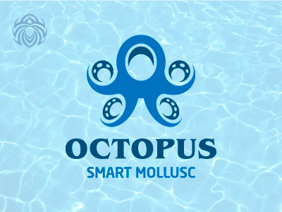Octopus Clever Clam by Dmitriy Dzendo on Dribbble