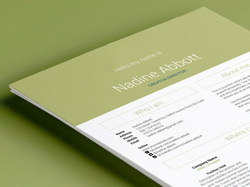 My Resume V3 by Bill Mawhinney on Dribbble