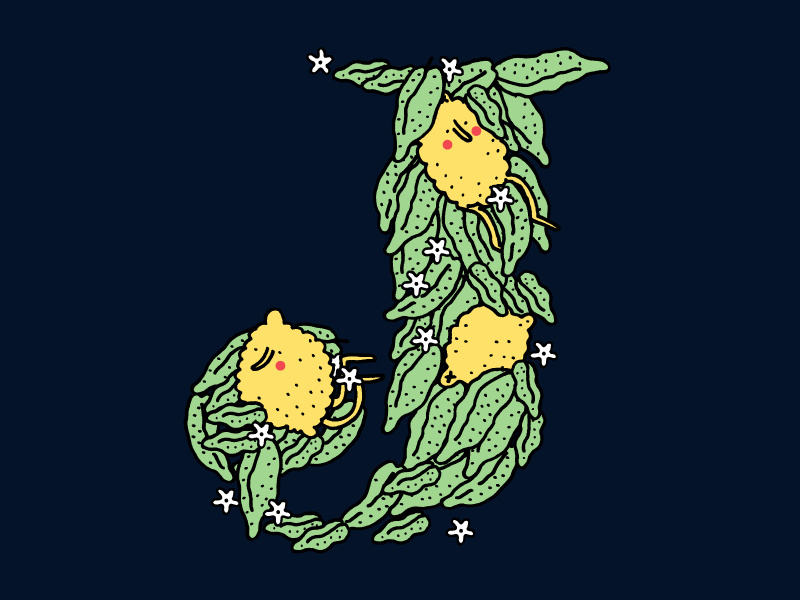 A little less serious lemon tree by Maya Stepien on Dribbble