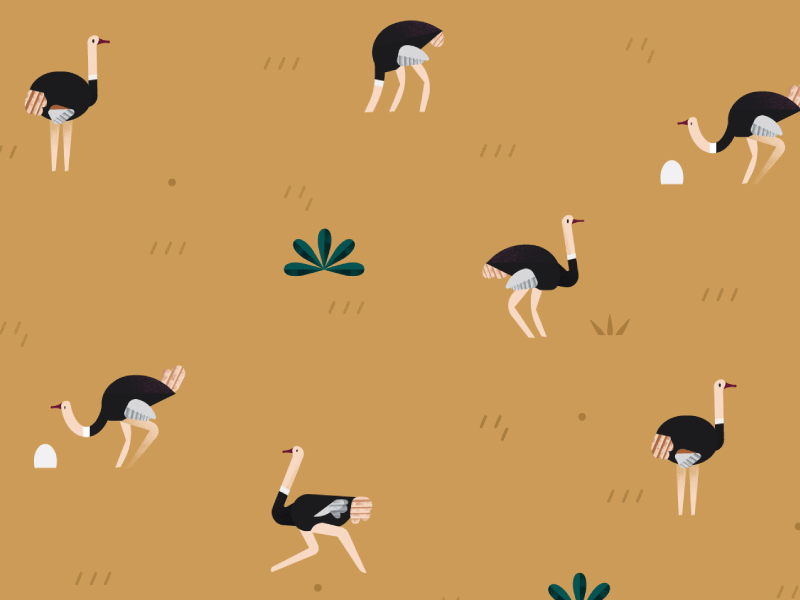 Ostrich Pattern by Maya Stepien on Dribbble