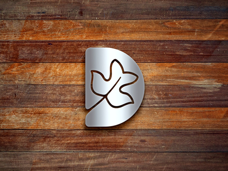D Logo Mark by Aditya Chhatrala on Dribbble