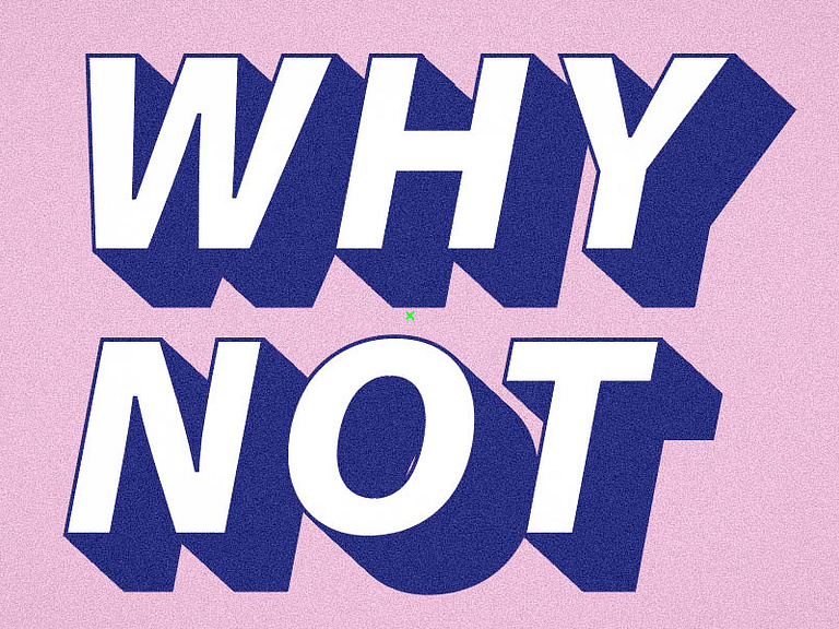 WHY NOT by Pauline Stambula on Dribbble