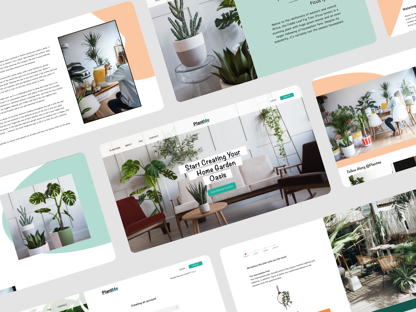 PlantMe Website Design by Lily Da Huang on Dribbble