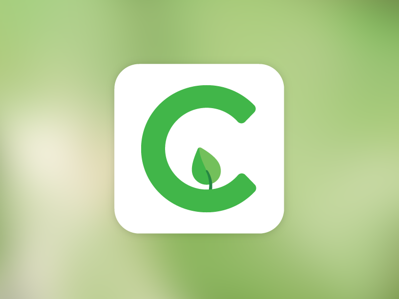 Clean City App Icon by Anna on Dribbble