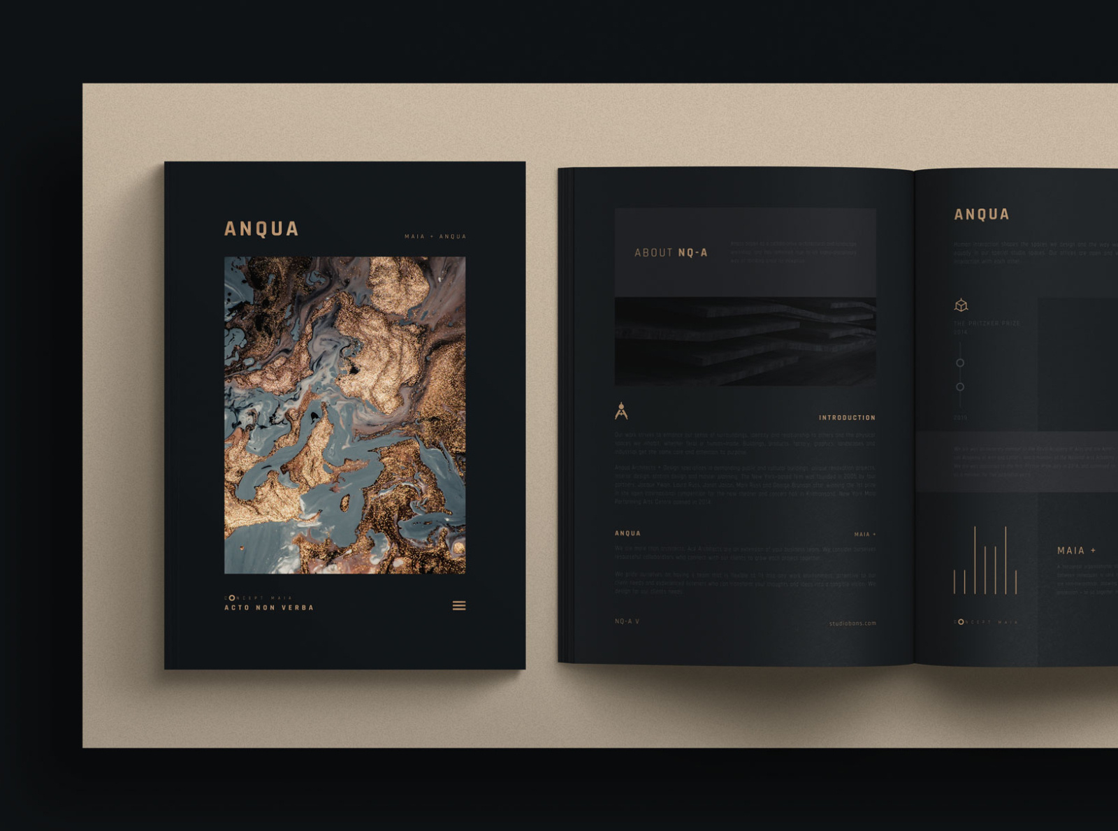 ANQUA | Architecture Proposal Template by Studio Bons on Dribbble