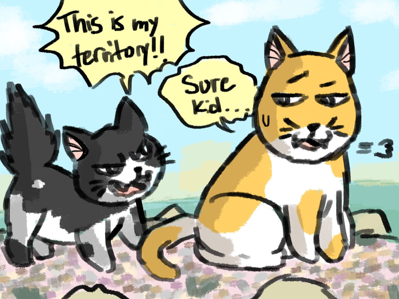 My territory by Stephanie Russell on Dribbble