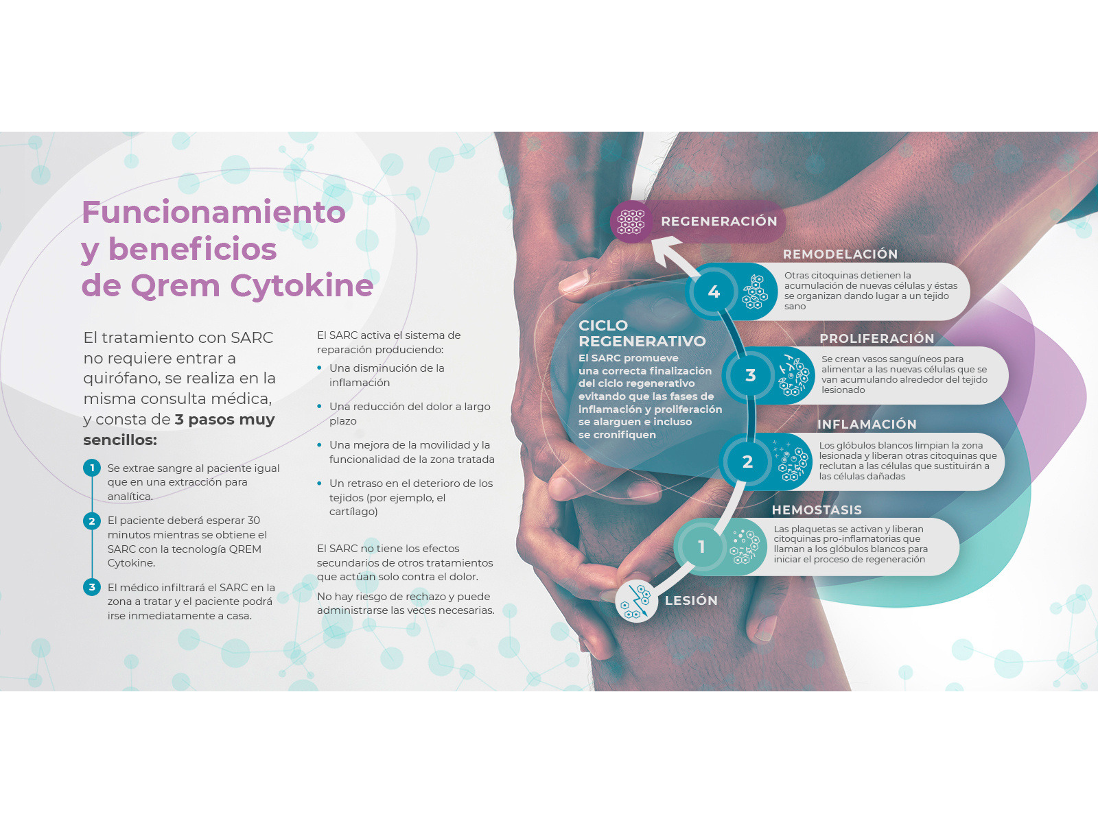 Infographics Qrem by Ainara Rodriguez on Dribbble