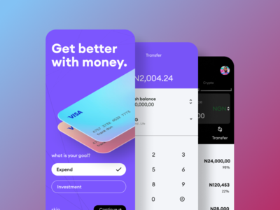 fin app by Olorunfemi damilare on Dribbble