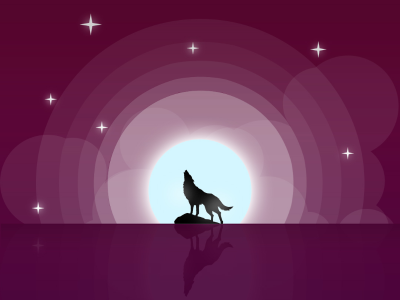 Night wolf 🖤 by Mansy Graphics on Dribbble