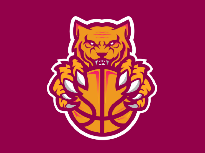 Go TIGERS 🏀 by Tridente Studio on Dribbble