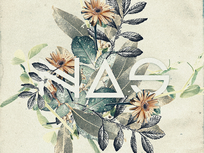 Nas by Nidia Dias on Dribbble