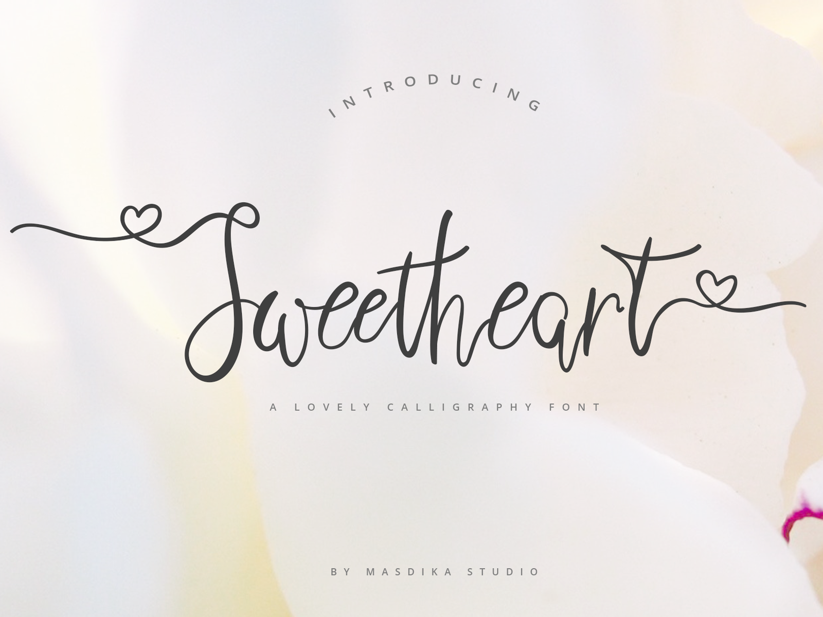 Sweetheart Lovely Calligraphy Font by Mister Graphics on Dribbble