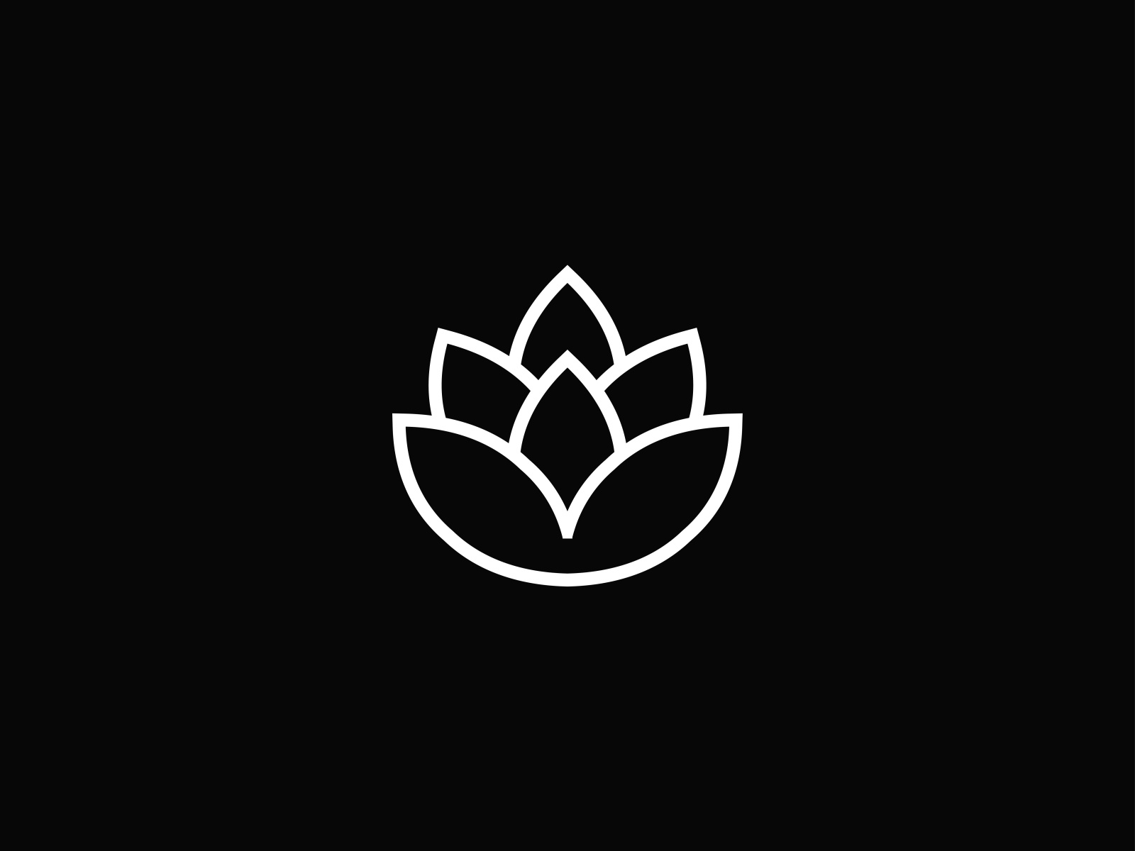 Lotus Flower by khaled ayman on Dribbble