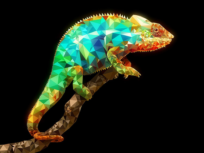 Crystal Chameleon By Kevin Hill Dribble by Kevin Hill on Dribbble
