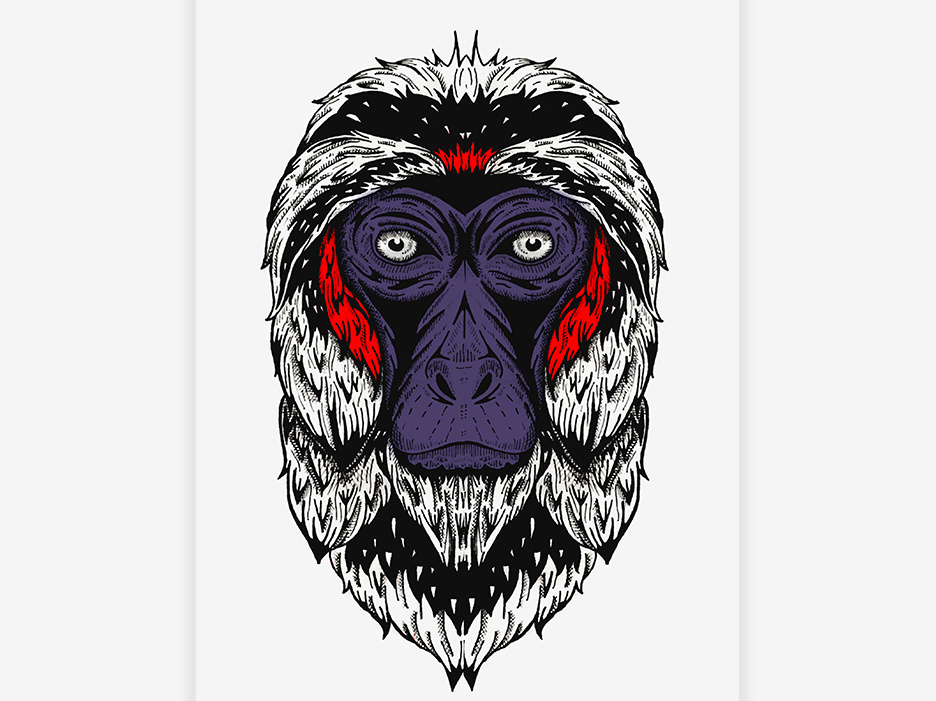 Mountain Monkey by Adrian Jacques on Dribbble