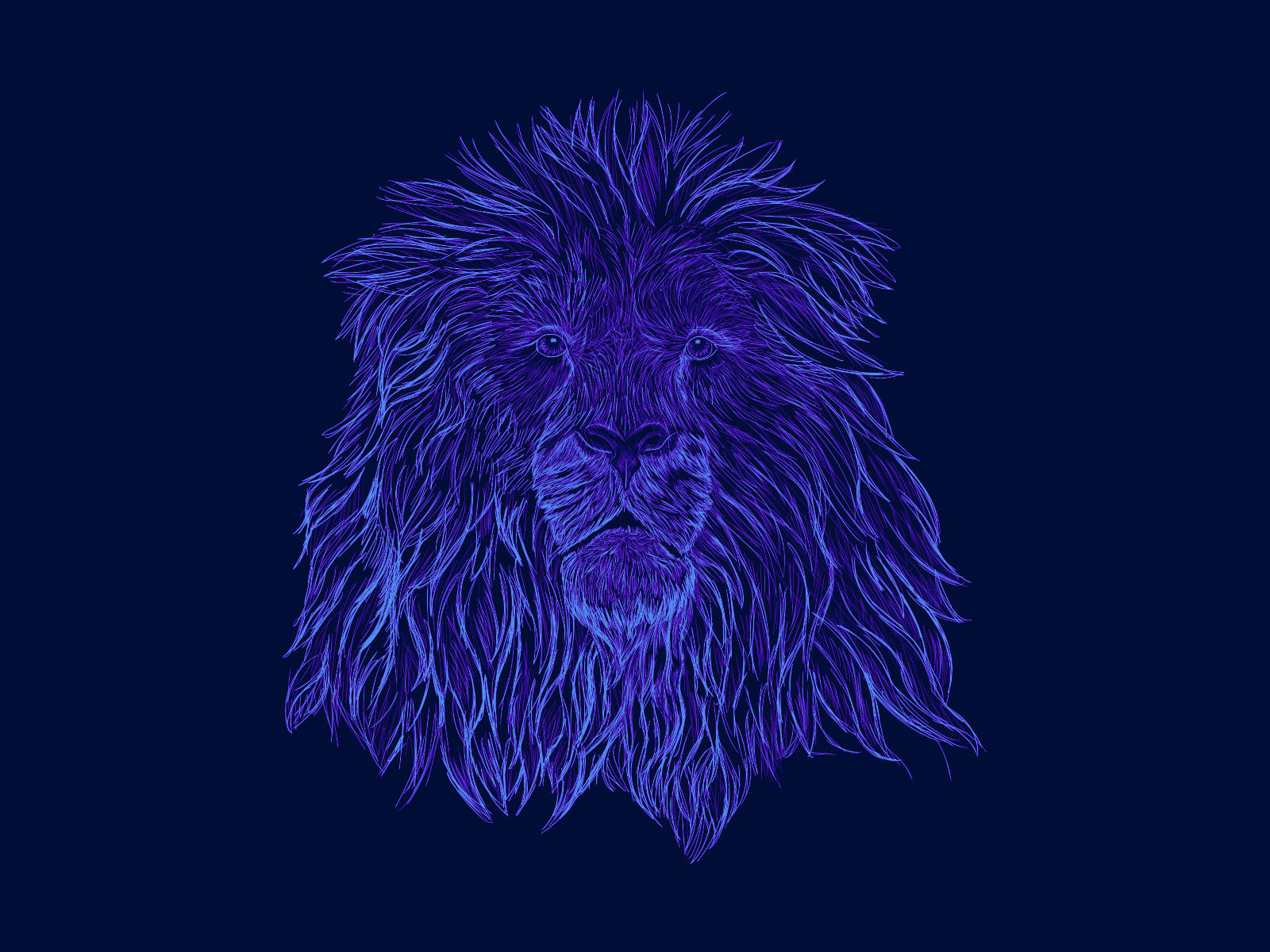 Lion by Nancy on Dribbble