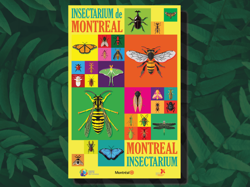 Montreal Insectarium
