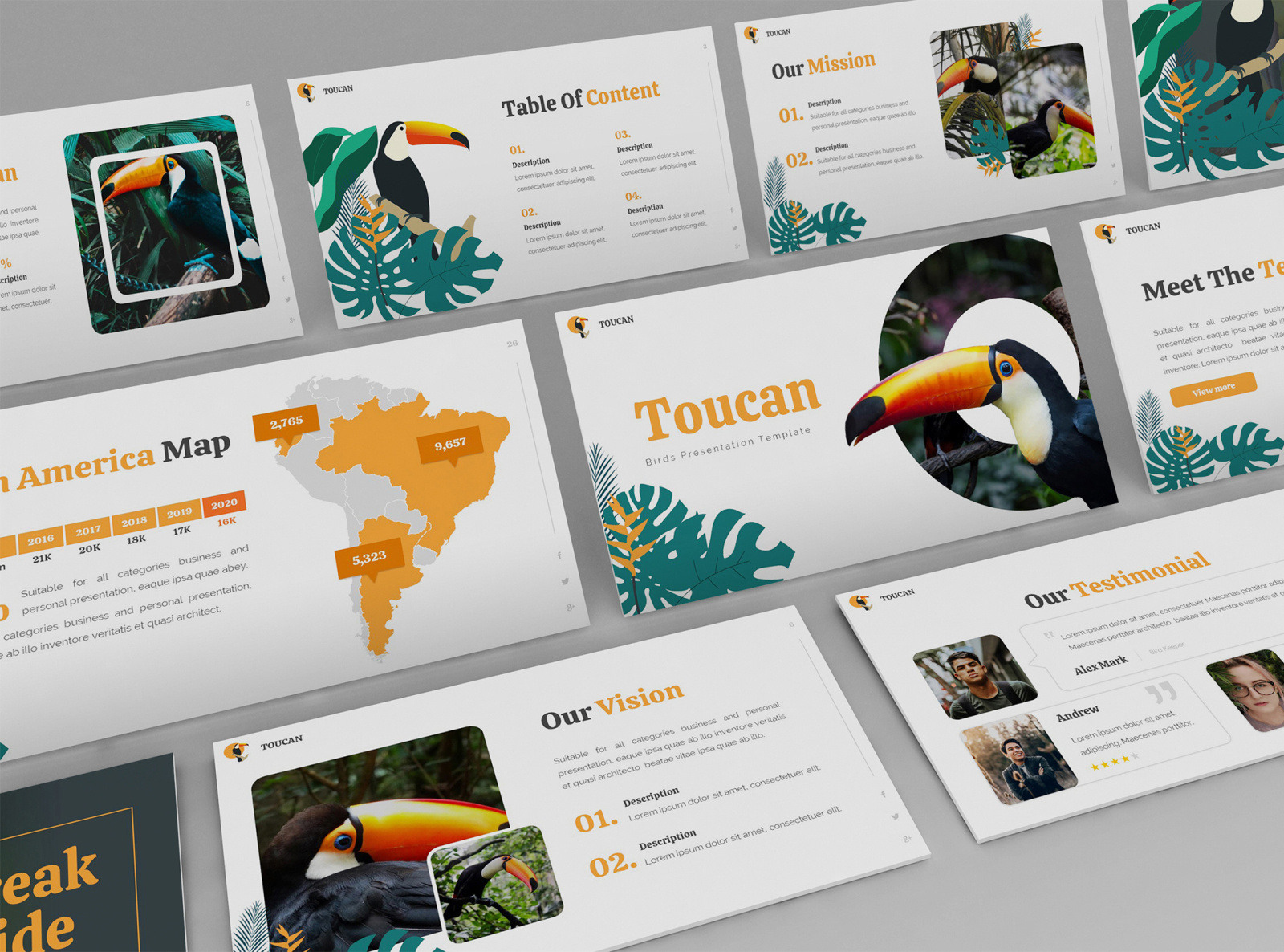 Toucan – Tropical Presentation Template by Slidefactory Studio on Dribbble