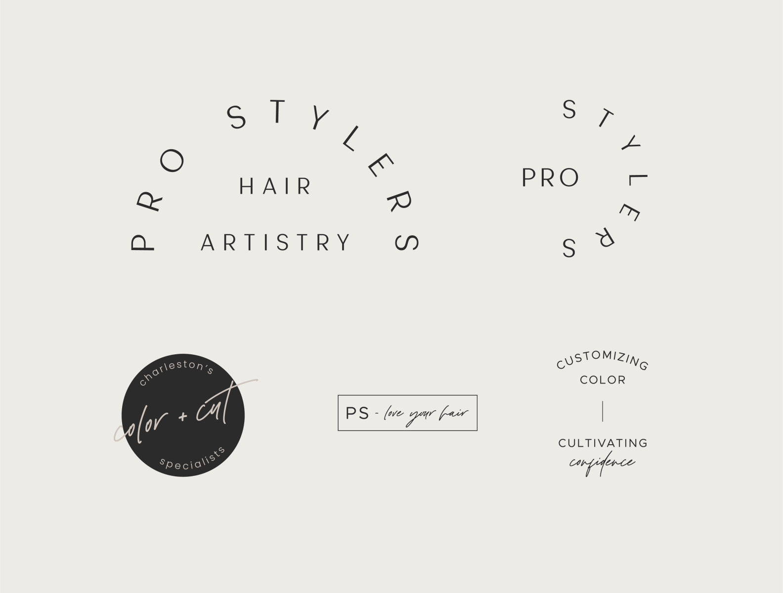 Pro Stylers Hair Artistry Visual Identity by Eliza Barrett on Dribbble