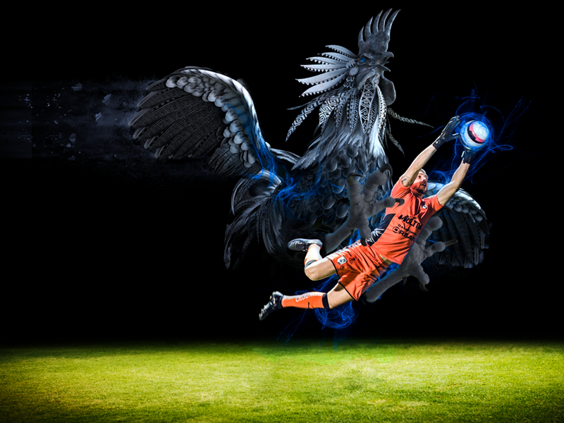 Volpi by Beto Moheno on Dribbble