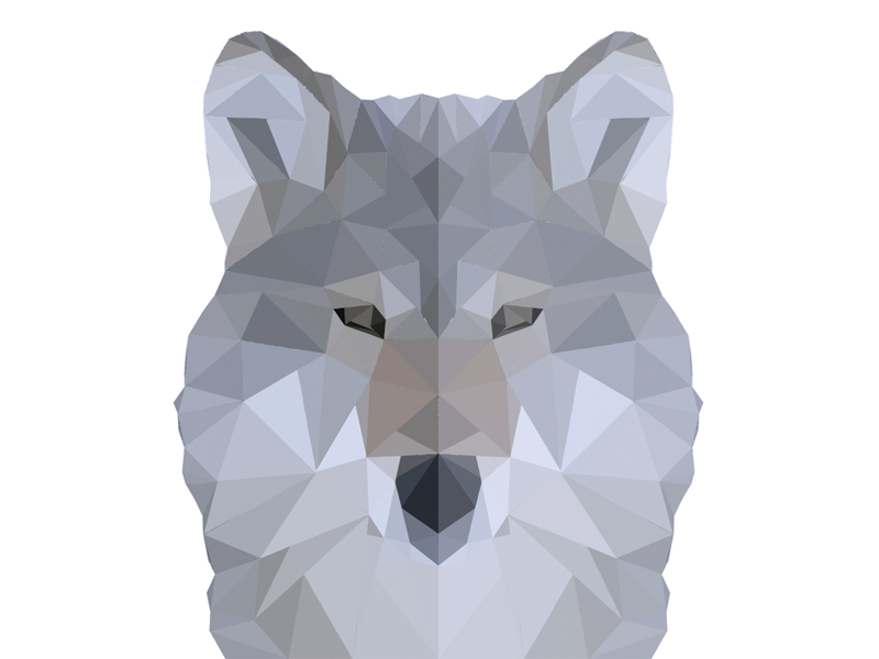 Wolf by Ryan Walsh on Dribbble