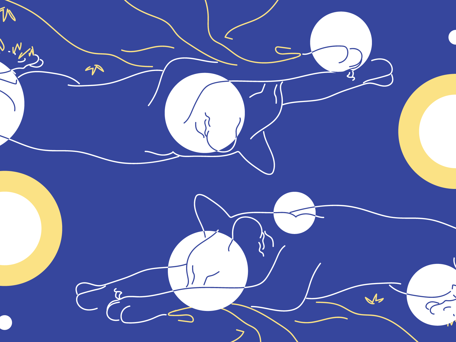 Cat Nap in the Sun Pattern by Lucre Garino on Dribbble